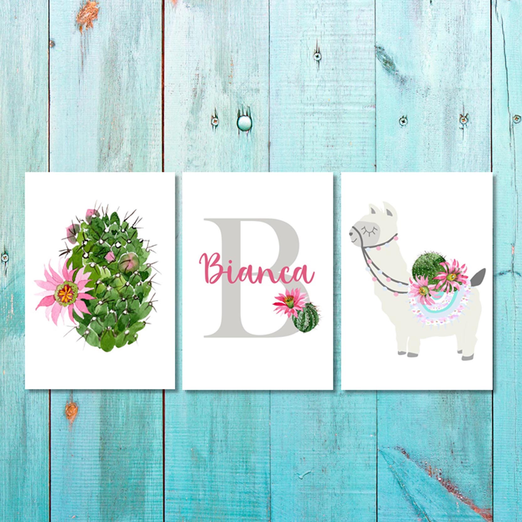 Girls: Set of 3 - Llama with a Cactus – Canvas & More