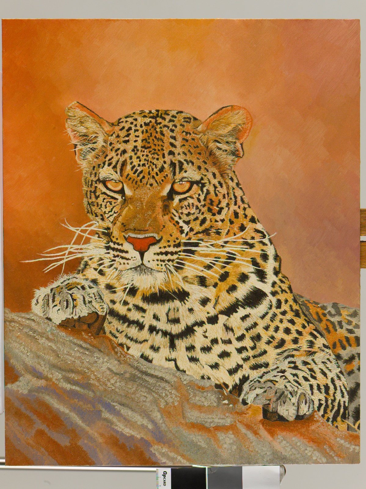 Staring Leopard Oil Painting – Canvas & More