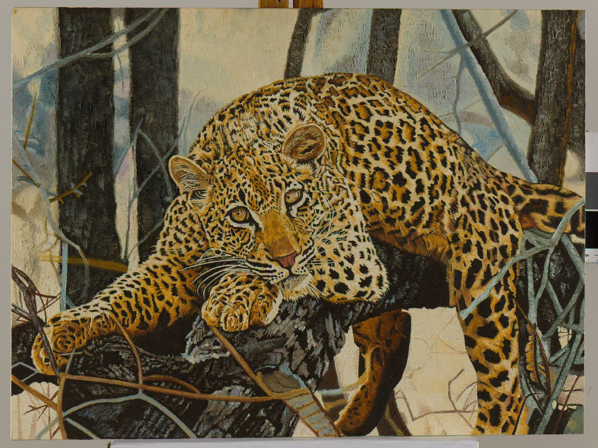 Leopard in a Tree Oil Painting – Canvas & More