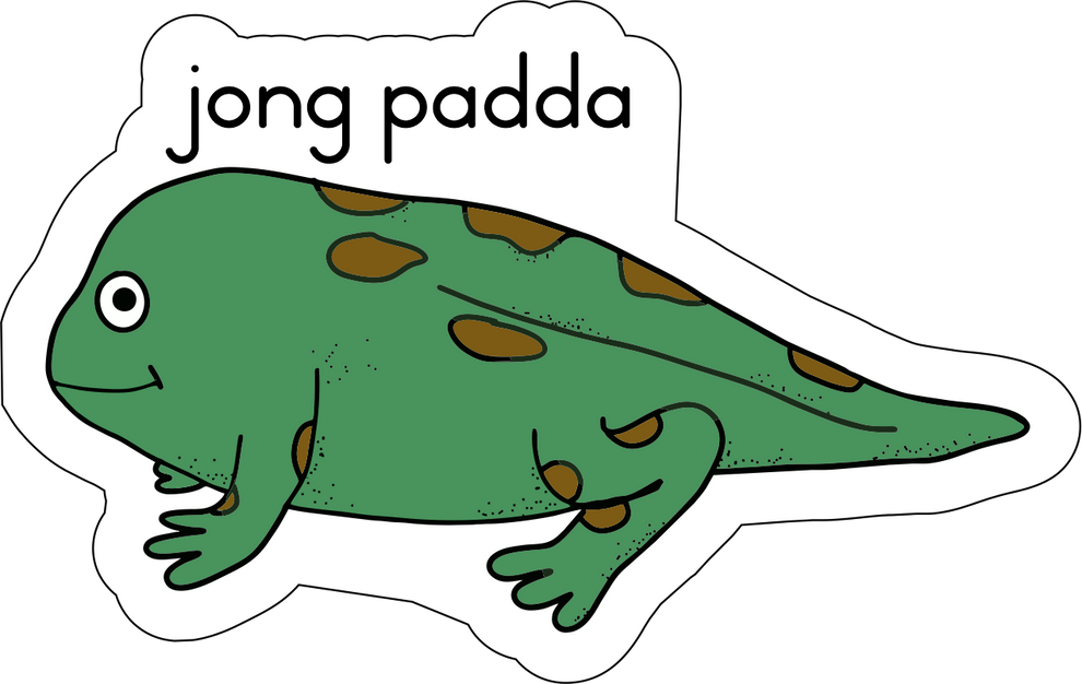 Lewensiklus van die padda Fridge Magnets - (12 PER PACK) – Canvas & More